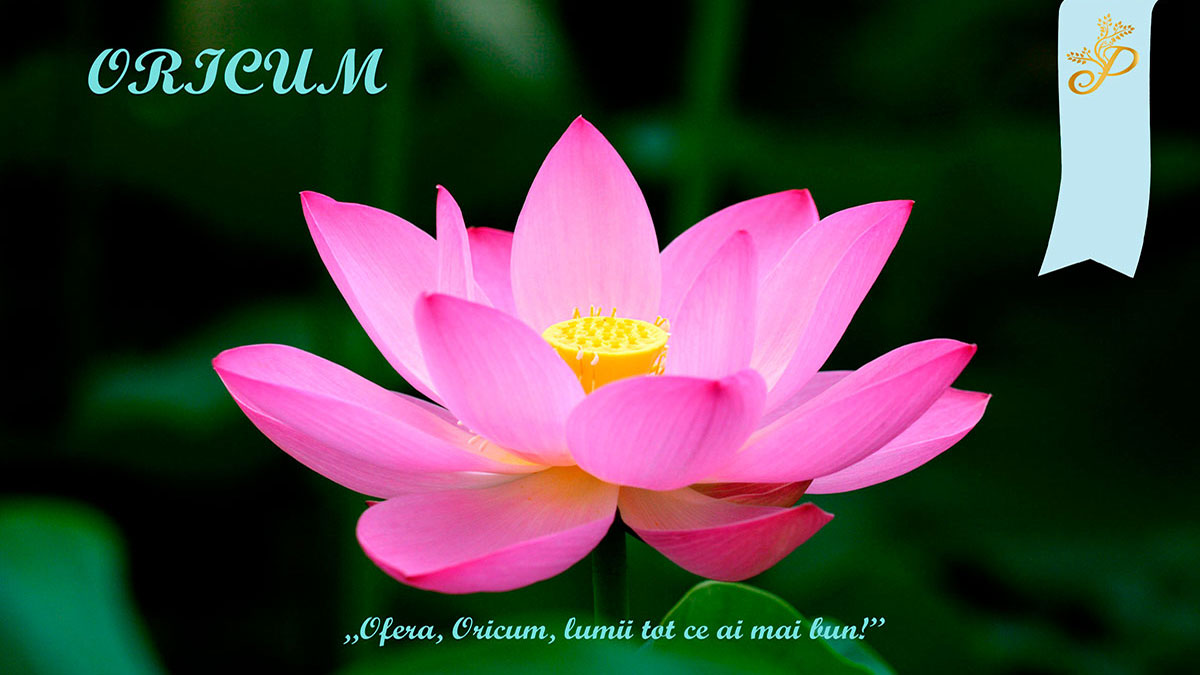 Oferă, Oricum, lumii tot ce ai mai bun! - Pozitiv - Centrul de ...